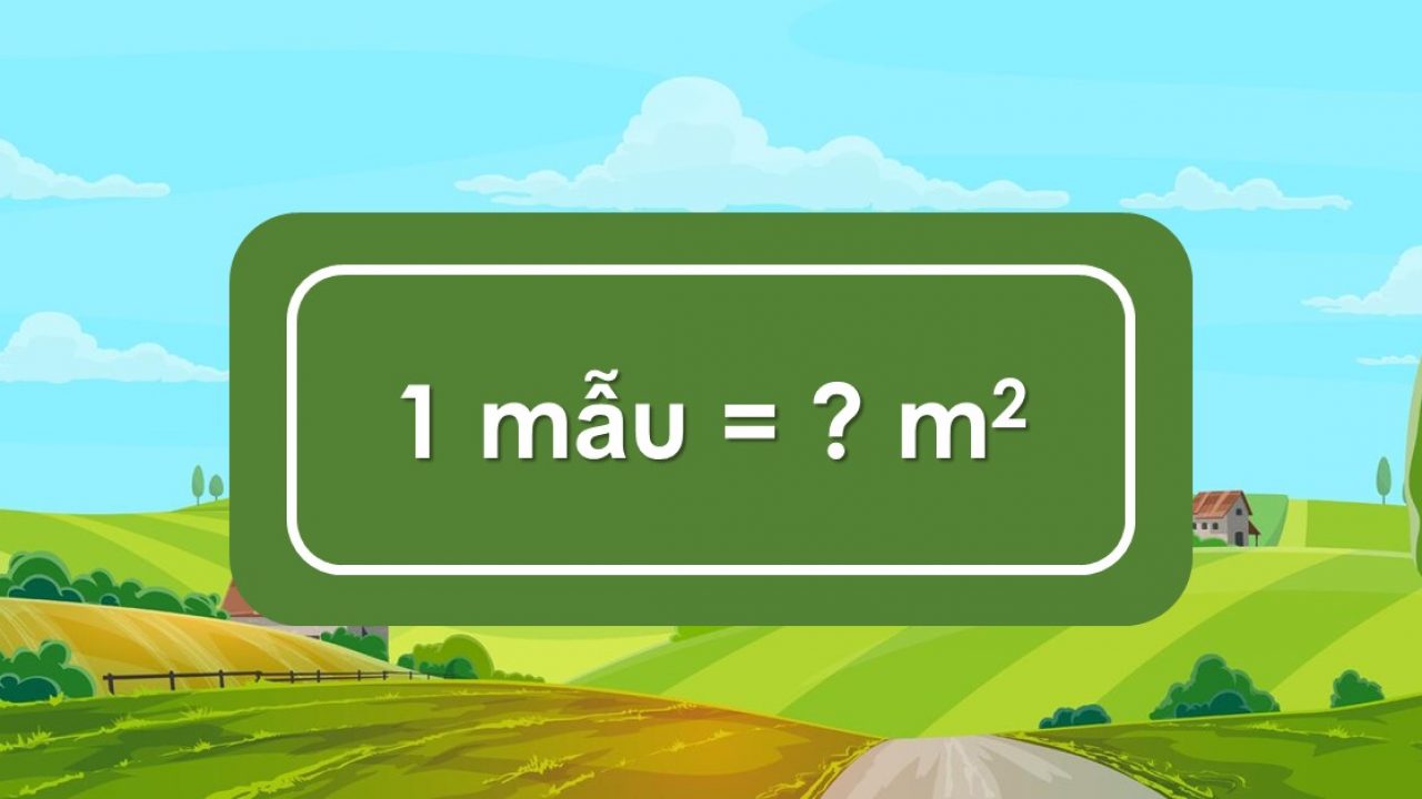 Khám phá câu trả lời 1 mẫu anh bằng bao nhiêu m2 Việt Nam