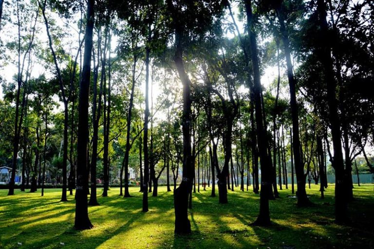 Công viên Gia Định: Ở đâu, chỗ gửi xe, giá vé, ăn gì, chơi gì ...