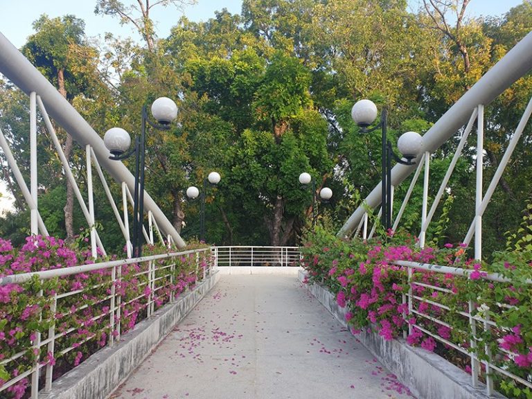 Công viên Gia Định: Ở đâu, chỗ gửi xe, giá vé, ăn gì, chơi gì?