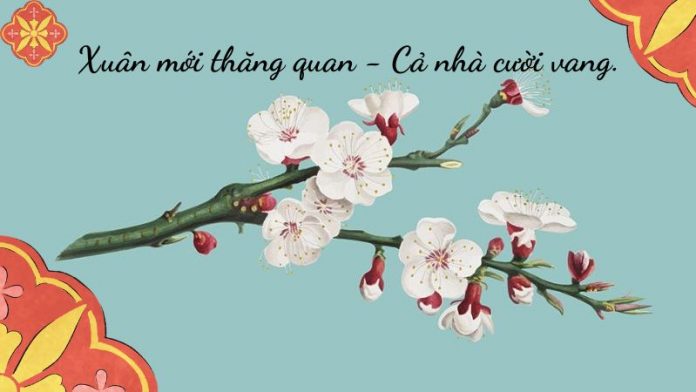300+ câu đối tết hay, ý nghĩa, vui nhộn, độc đáo mới nhất 2025 ...