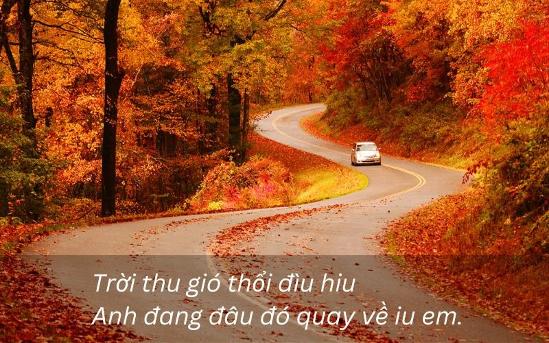 290+ stt mùa thu hay nhất, cap mùa thu lãng mạn, tâm trạng