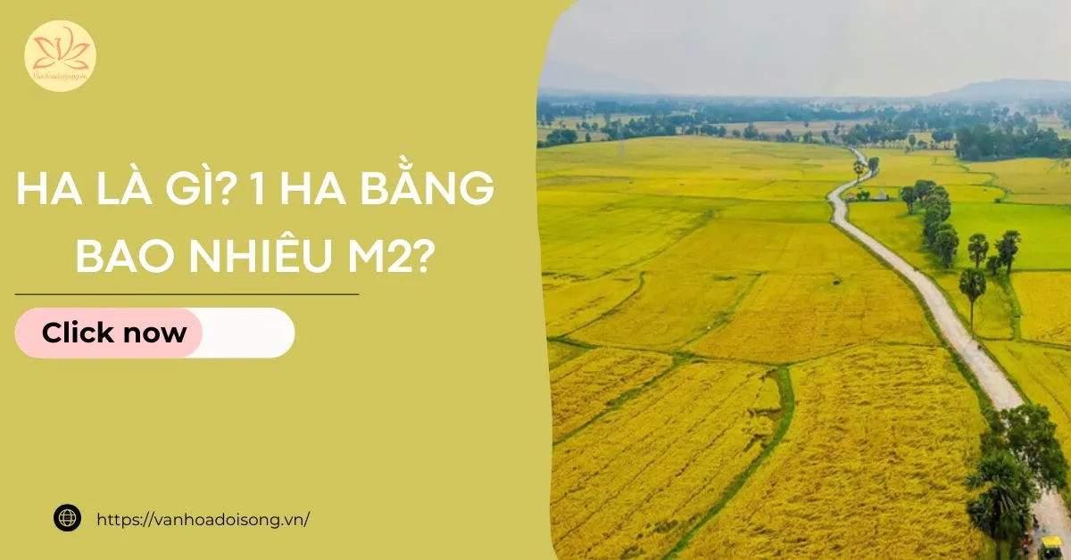 Ha là gì? 1 ha bằng bao nhiêu m2? Cách đổi ha sang đơn vị khác