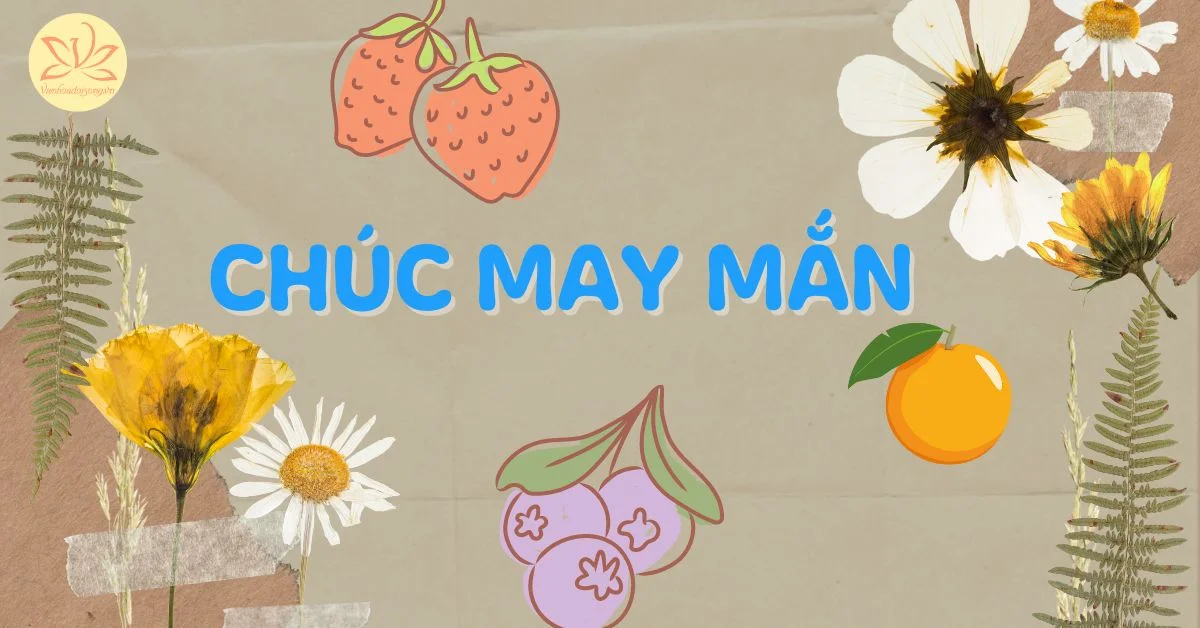 101+ Những lời chúc may mắn hay, ý nghĩa nhất