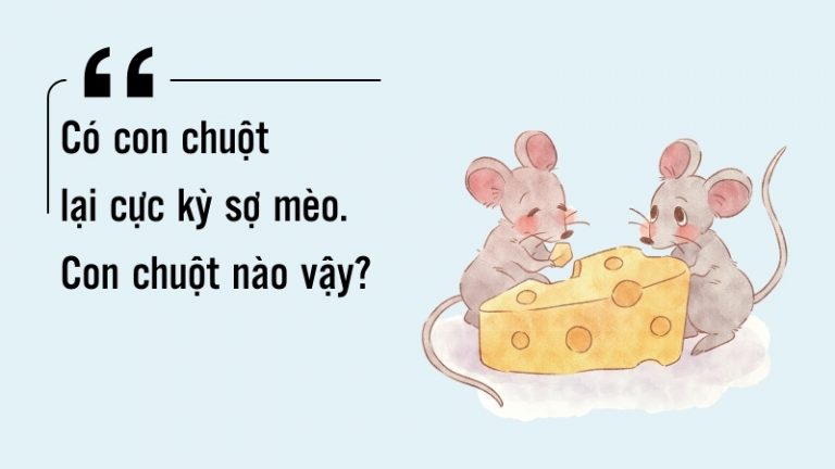 300+ câu đố vui, đố mẹo, hack não khó tìm đáp án nhất – VANHOADOISONG