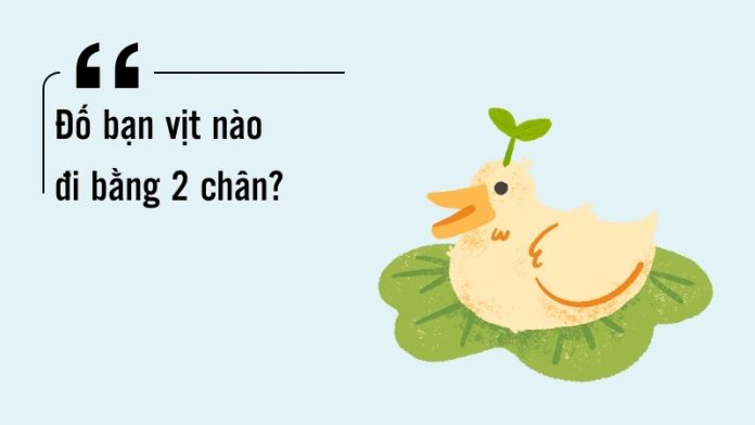 300+ câu đố vui, đố mẹo, hack não khó tìm đáp án nhất – VANHOADOISONG